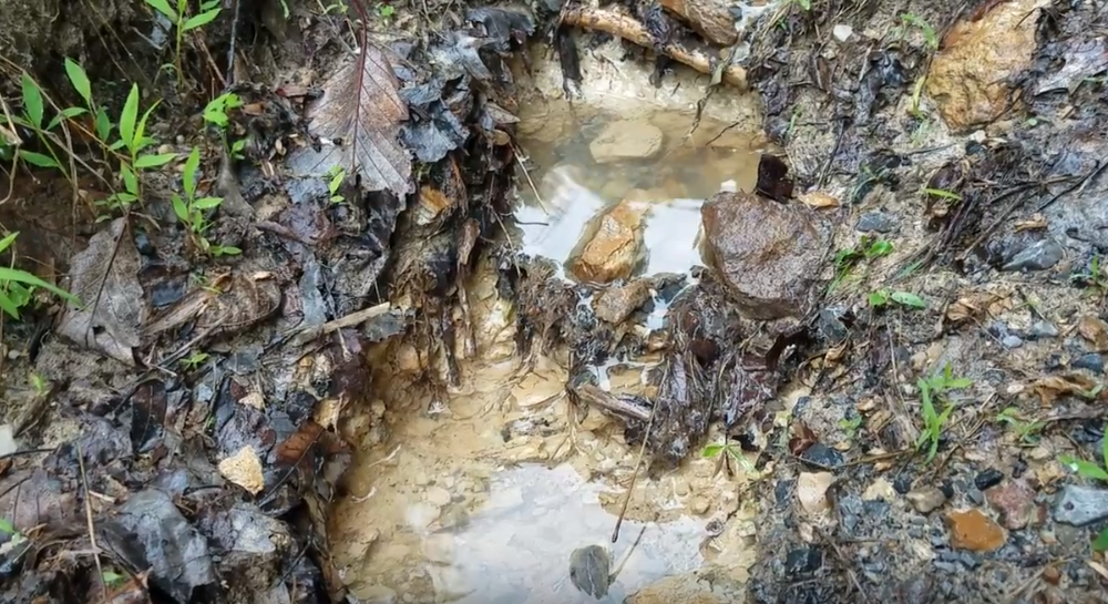 Mindful Mondays: Tiny trickles - Royal Examiner