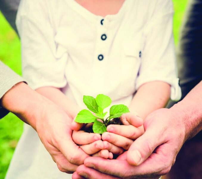 Three modern funeral trends - Royal Examiner