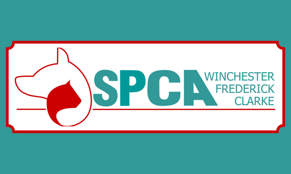 First annual “Luke Day” at the SPCA adoption center - Royal Examiner