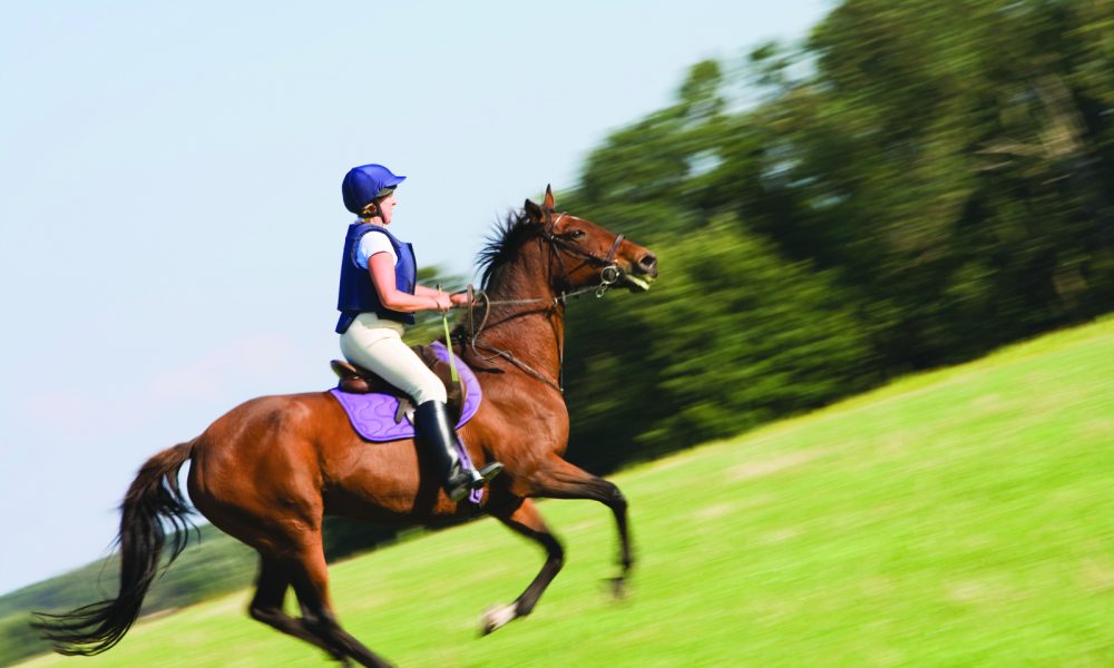 The pleasures of riding - Royal Examiner