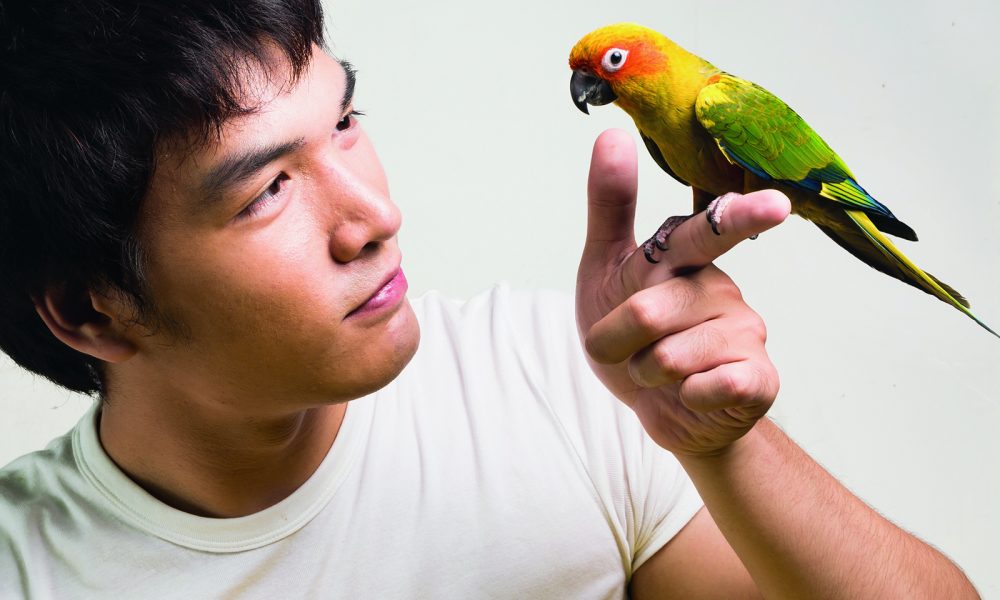 How to train your bird to talk – Royal Examiner