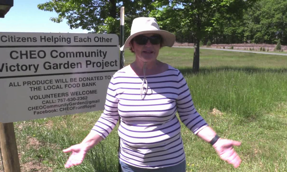 Town Talk: A conversation with Fern Vazquez, CHEO community garden 2021 ...