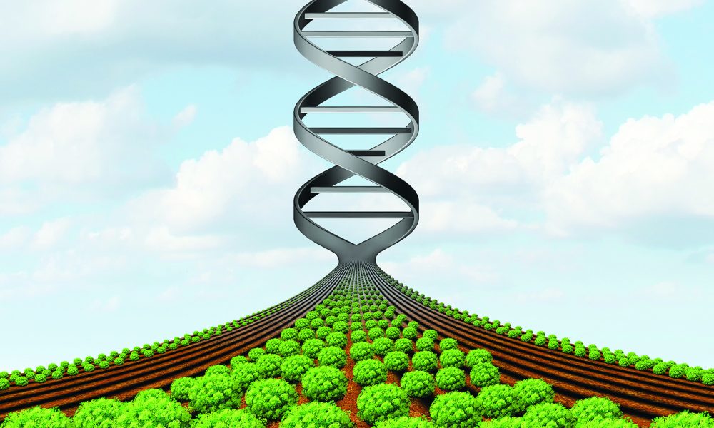 The pros and cons of GMO crops - Royal Examiner