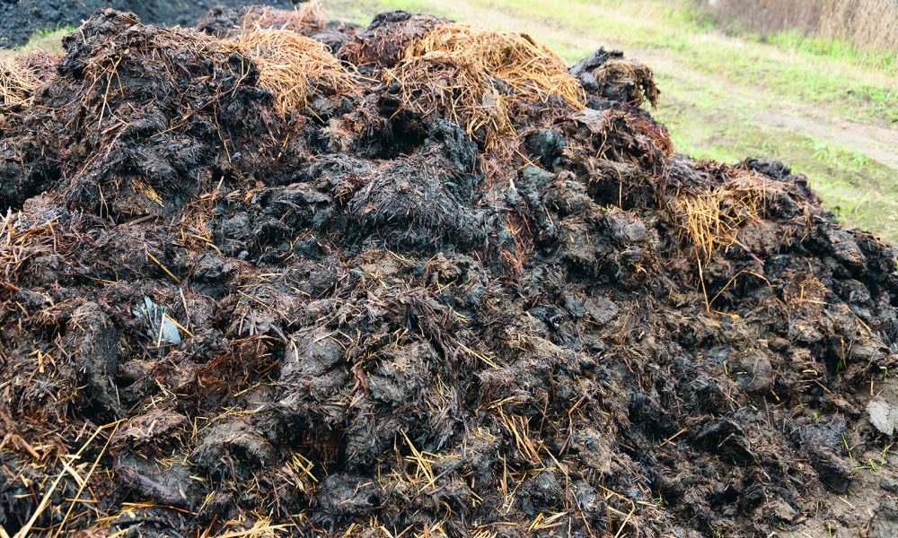 How to manage animal waste - Royal Examiner