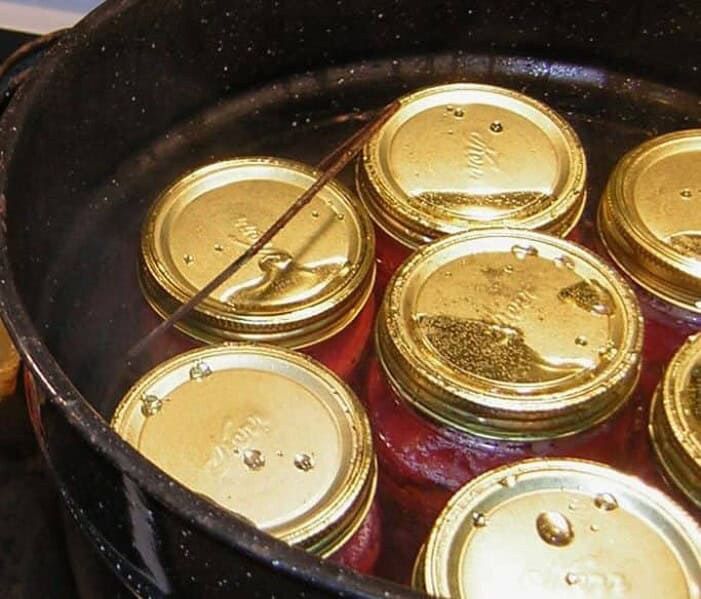 Canning history: How canned food revolutionized society - Royal Examiner
