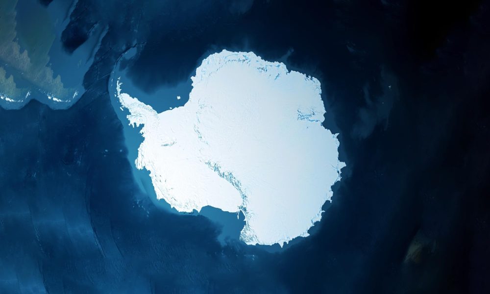 Scientists uncover thriving ecosystem in hidden subsurface antarctic ...