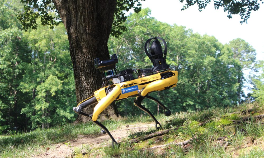 The 21st century’s canary in the coal mine is a robotic dog named Spot ...