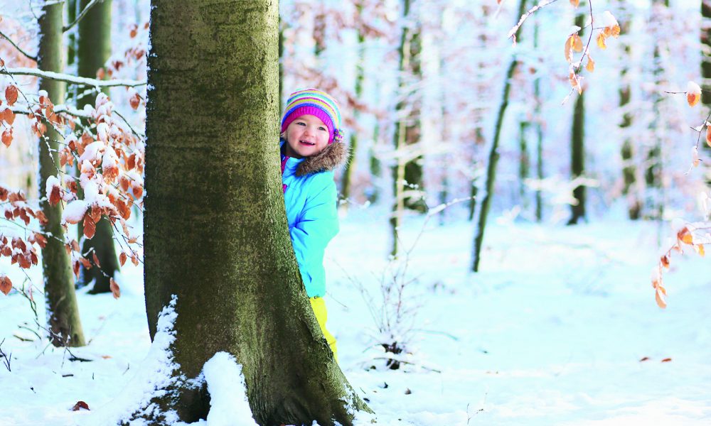 Five ideas for fun in the snow - Royal Examiner