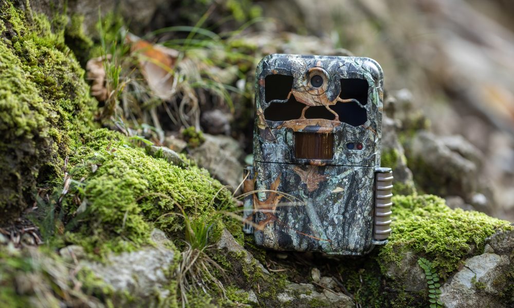 Need a reason to head outside in the winter? Get a trail cam! - Royal ...