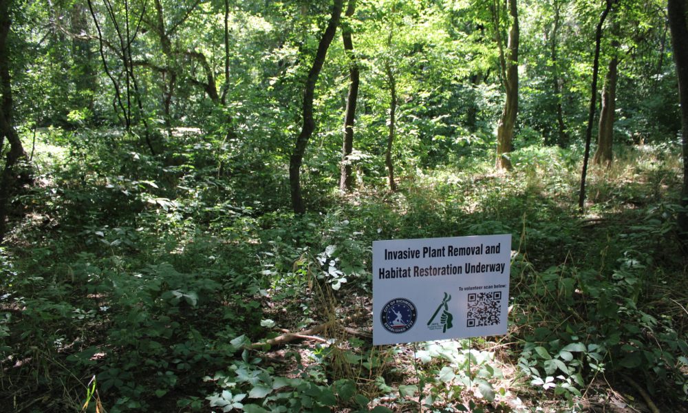 Invasive Plants Have Spread All Over Virginia. Some Groups Say That ...