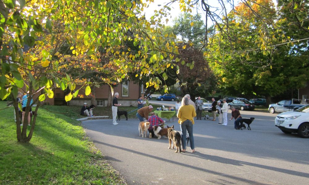 Animals – and Insects – Blessed in Front Royal Church Outdoor Ceremony ...
