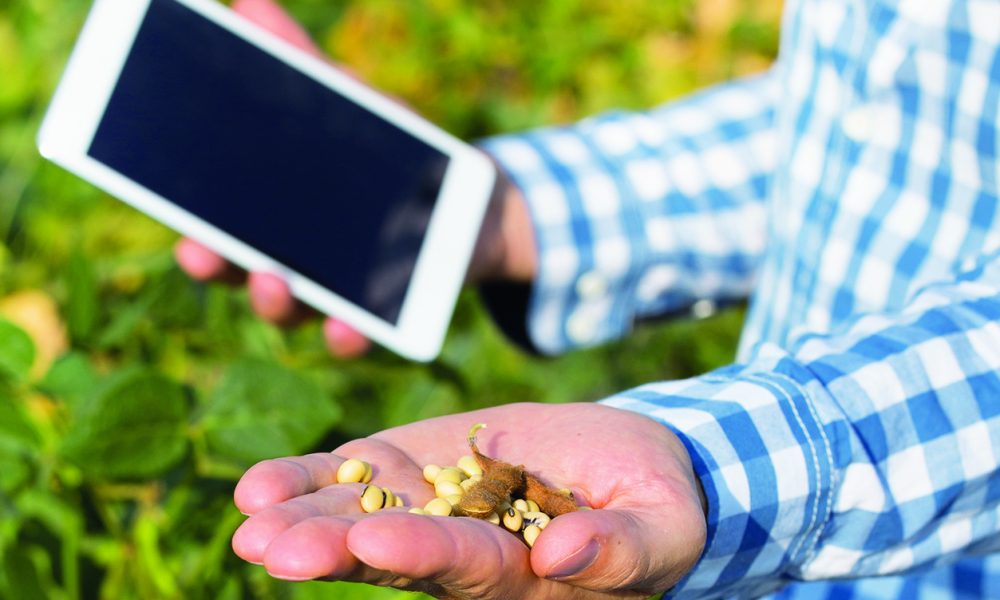 Planting the Future: The Revolutionary Role of Seed Technology - Royal ...