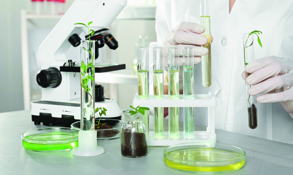 Exploring a Career in Plant Pathology - Royal Examiner