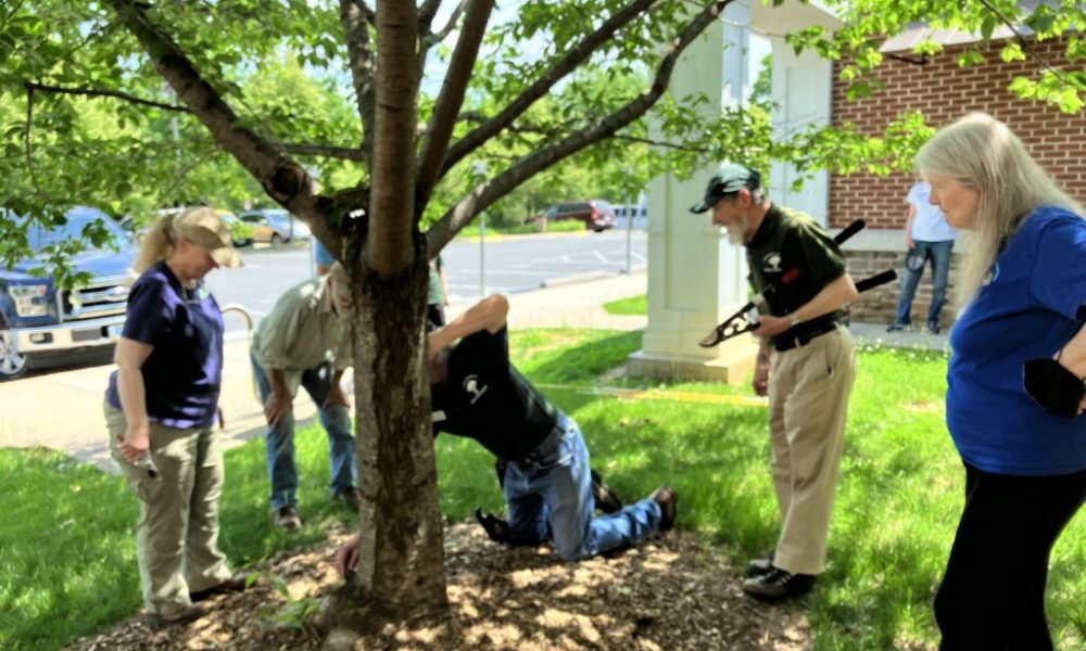 Front Royal Tree Stewards Grow with New Members and Upcoming Classes ...