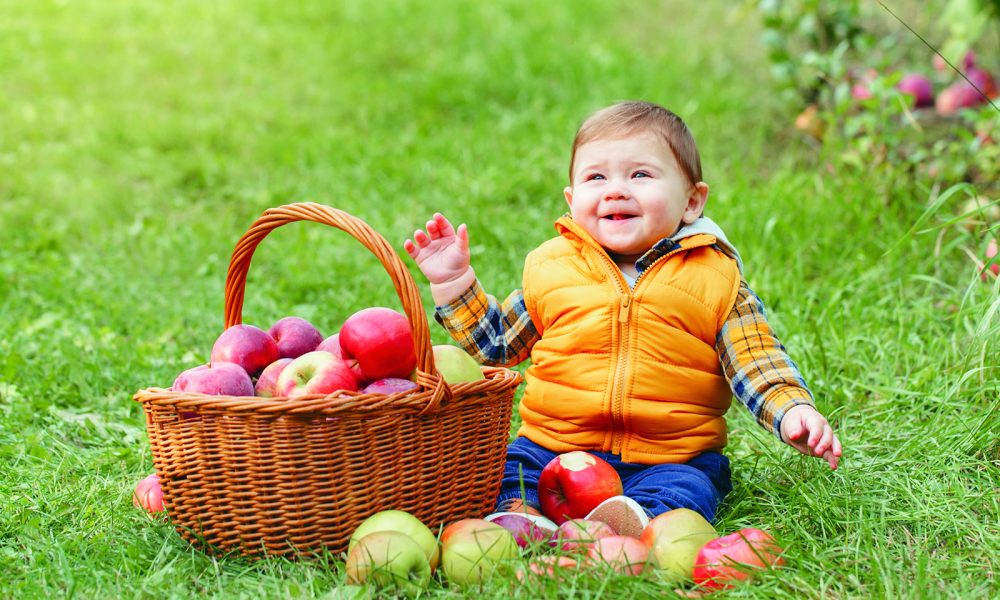 Visiting an Orchard: Fun Guaranteed - Royal Examiner