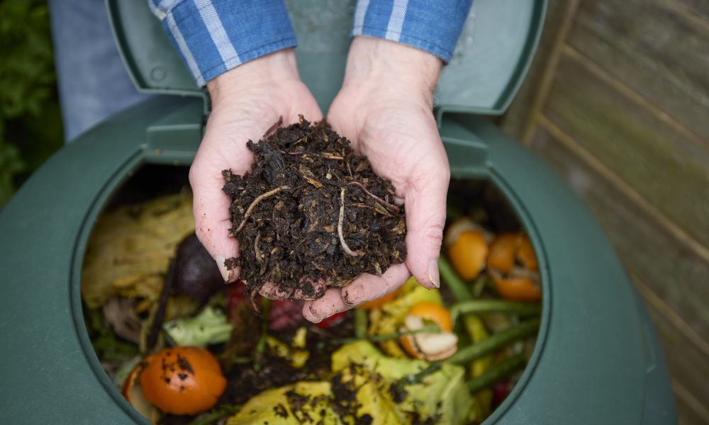 Earth Day 2025: Turning Waste into Power with Composting - Royal Examiner