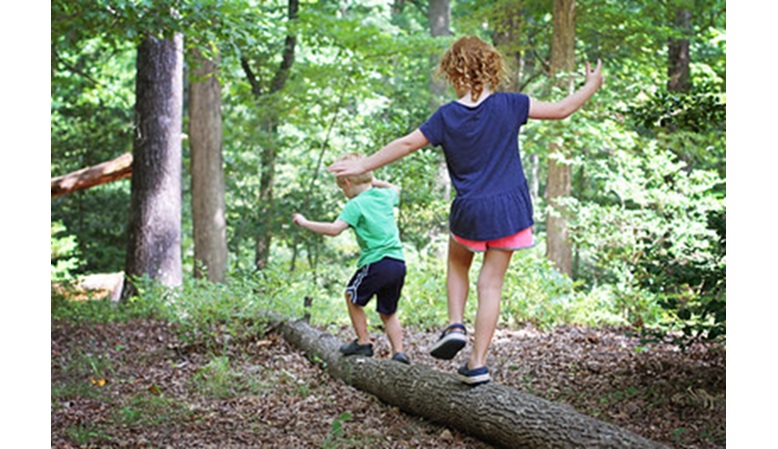 Kids Become Nature Sleuths at “Spring Habitat Detectives” Walk - Royal ...