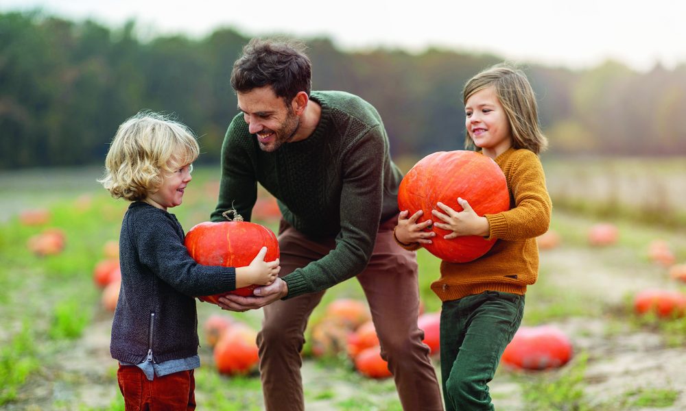 Combine Fun and Flavor: 5 Gourmet Outings to Fully Enjoy Fall - Royal ...