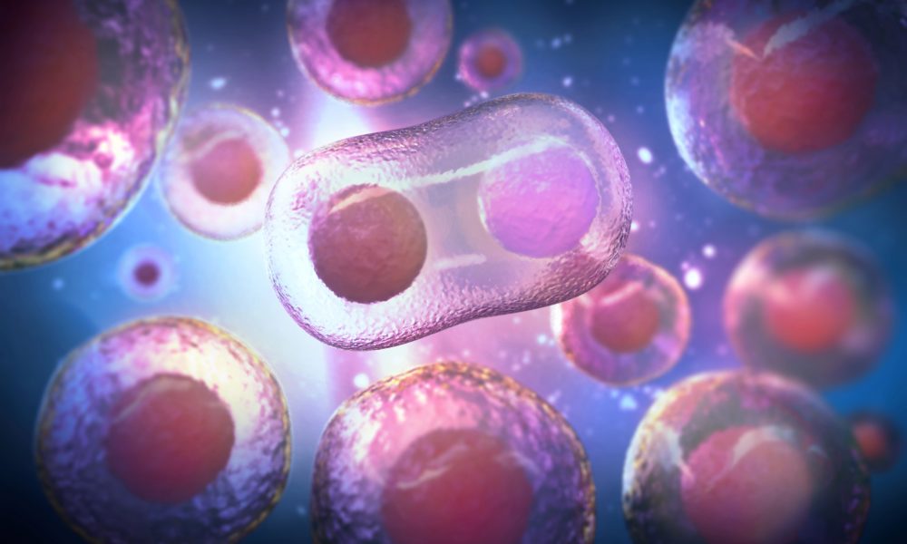 NASA Twin Study Reveals Stem Cells Age Rapidly in Space - Royal Examiner