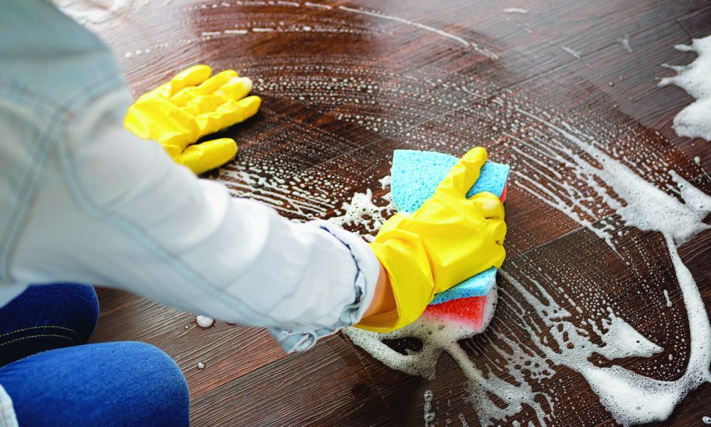Choosing the Right Cleaner for Every Surface in Your Home - Royal Examiner