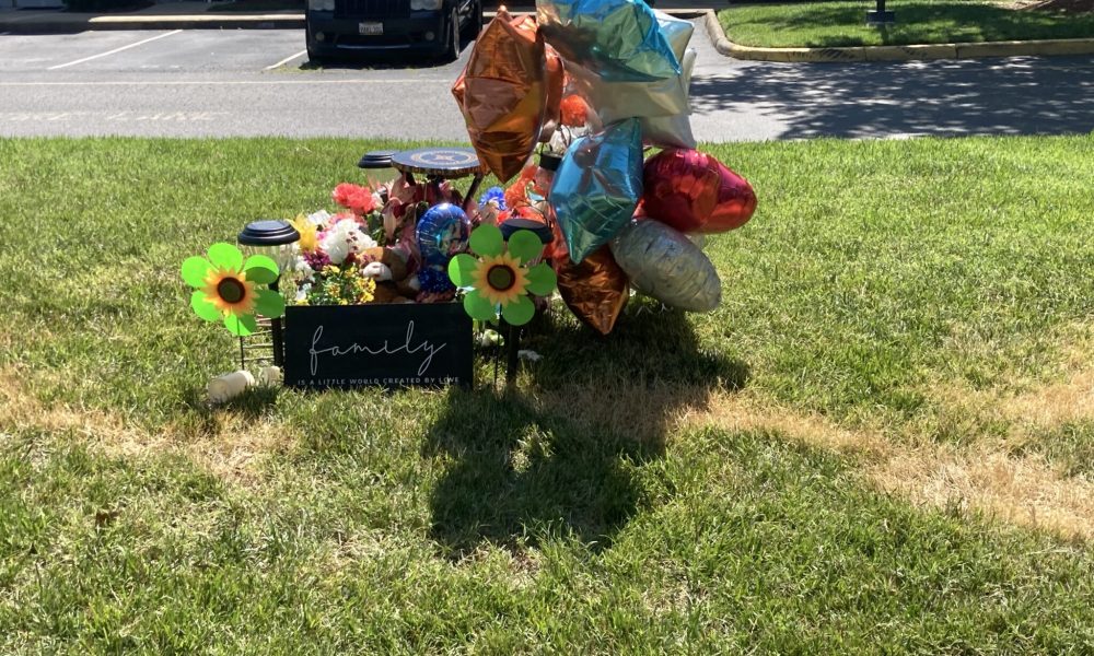 Commentary: In Light of Horrific Virginia Deaths, Consider Others When ...